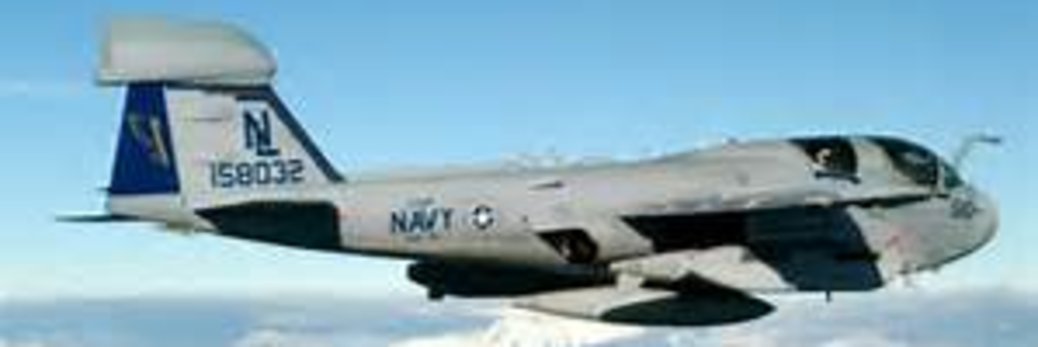 Attack Squadron 145 (VA-145), Strike Fighter Wing Pacific members ...