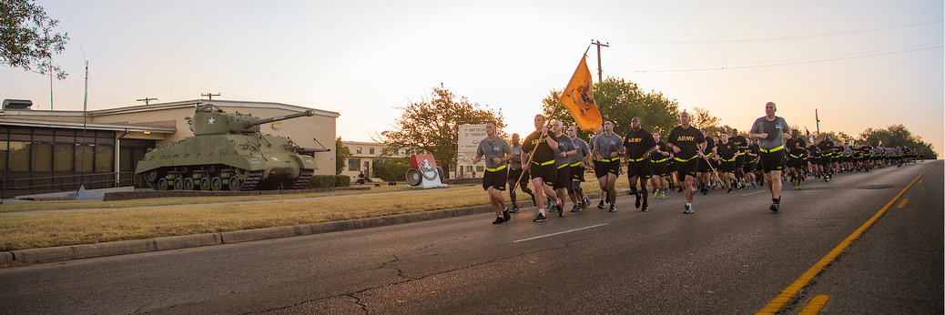 1st Battalion, 8th Cavalry Regiment (1-8 CAV), 2nd Brigade Combat Team ...