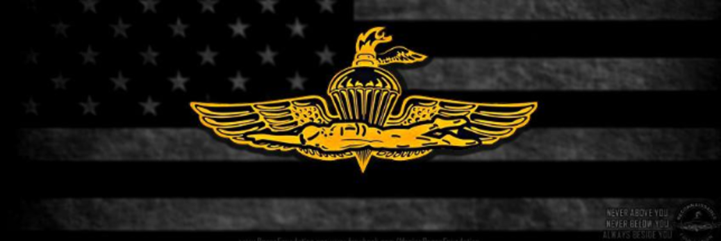 Amphibious Logo