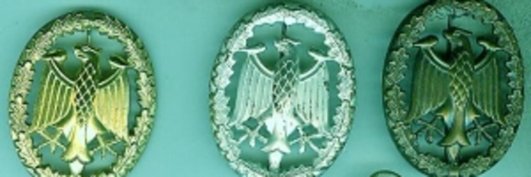 German Armed Forces Proficiency Badge (Gold) graduates | RallyPoint