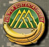 70th Brigade Support Battalion | RallyPoint