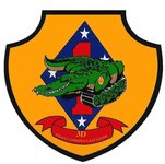 3rd Assault Amphibious Battalion (3rd AABn), veterans in Camp Pendleton ...