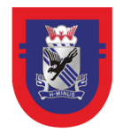 2nd Battalion, 505th Infantry Regiment (2-505 PIR), 3rd Brigade Combat ...