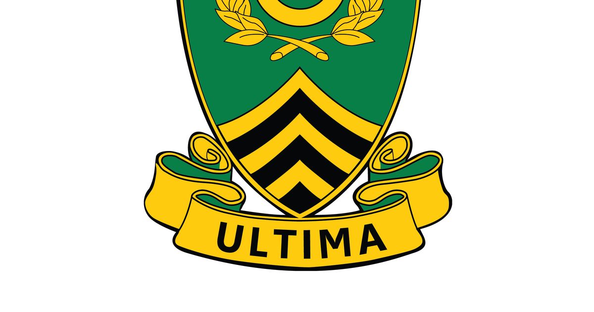 Army Academy Logo