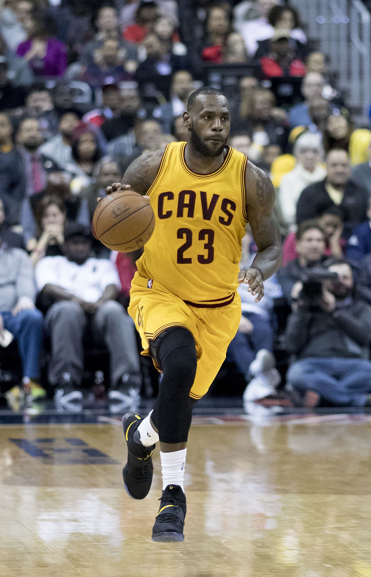 LeBron James - Wikipedia | RallyPoint