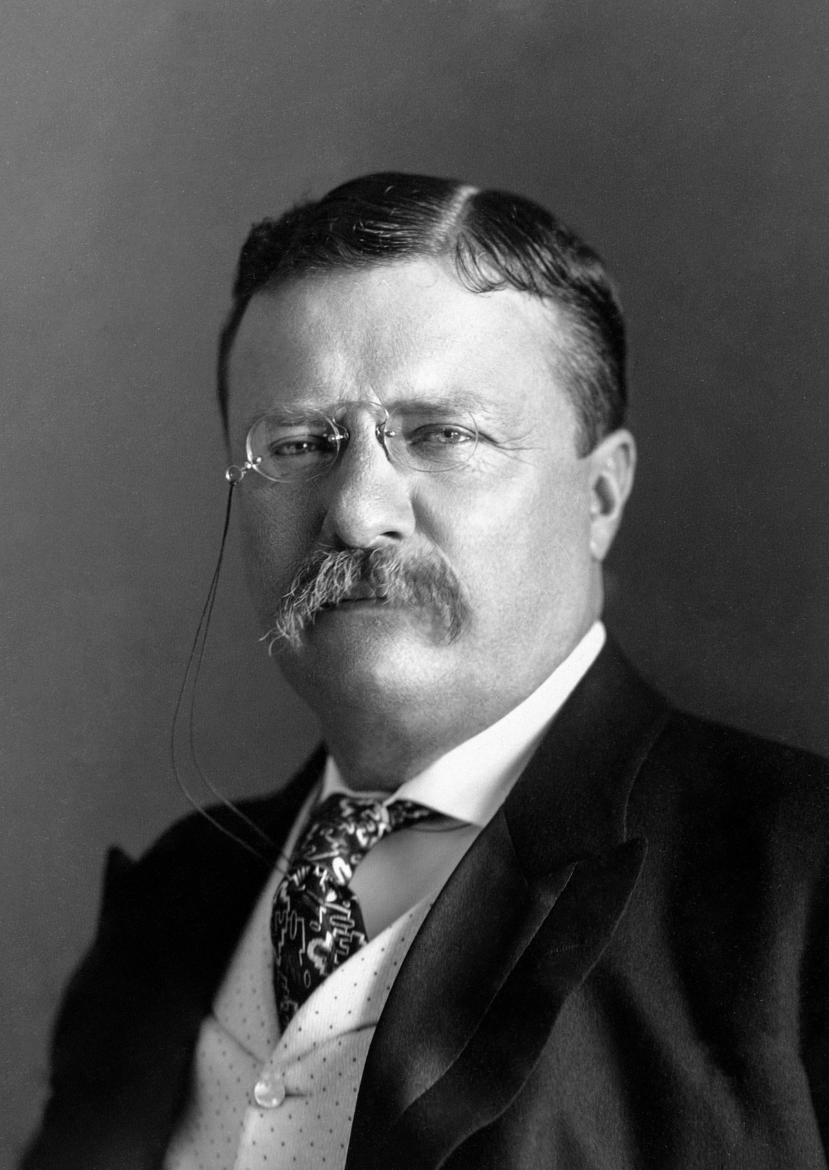 Theodore Roosevelt Wikipedia RallyPoint Theodore Roosevelt Wikipedia RallyPoint