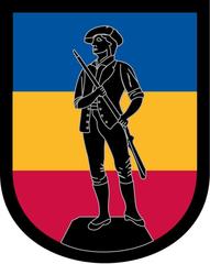 298th Regiment Headquarters (298th MFTR HQ), 298th Regiment (Multi ...