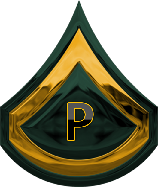 Is there such thing as a PFC(P)? | RallyPoint