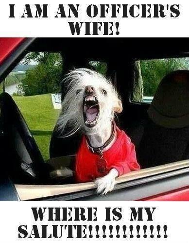 Should a 2LT salute a 1LT's wife? | RallyPoint