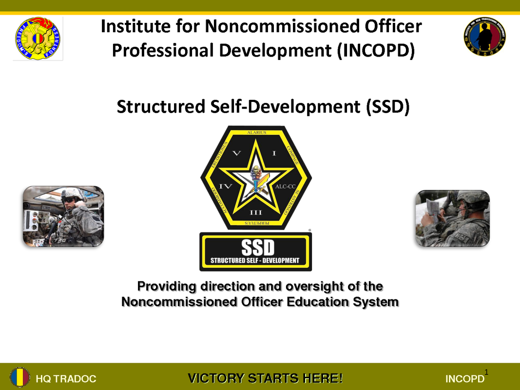 Structured Self Development (SSD): Does it meet the intent it was ...