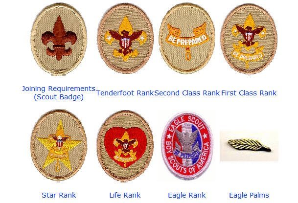 Survey of Servicemembers and Veterans that were in the Boy Scouts of ...