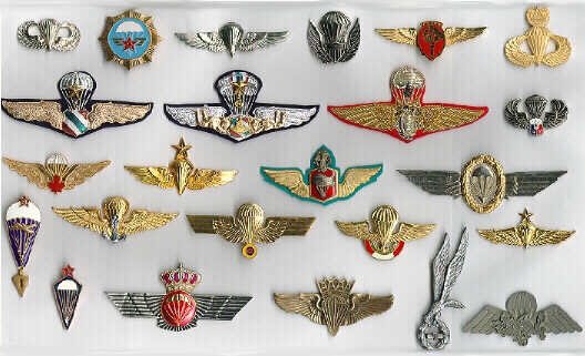 What foreign wings have you earned? | RallyPoint