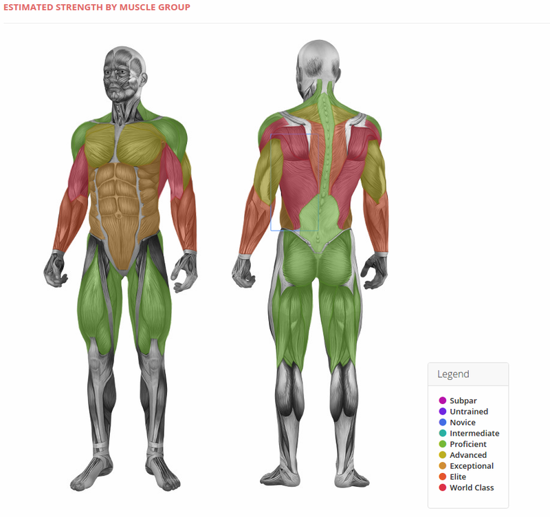 Muscular Development