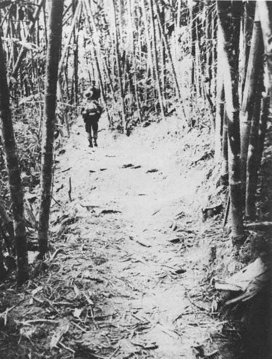 U.S. jets bomb Ho Chi Minh Trail - Mar 03, 1965 - HISTORY.com | RallyPoint