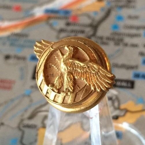 I was honorable discharged in 1987. Can I wear the ruptured duck lapel ...