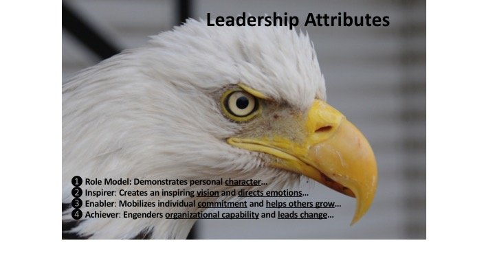 What Do Think Are The Most Important Attributes Of A Successful Leader what-do-think-are-the-most-important-attributes-of-a-successful-leader