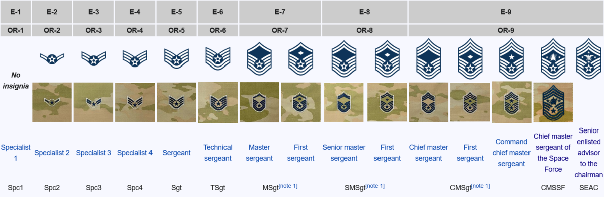 What do you think the future of the Space Force holds? | RallyPoint